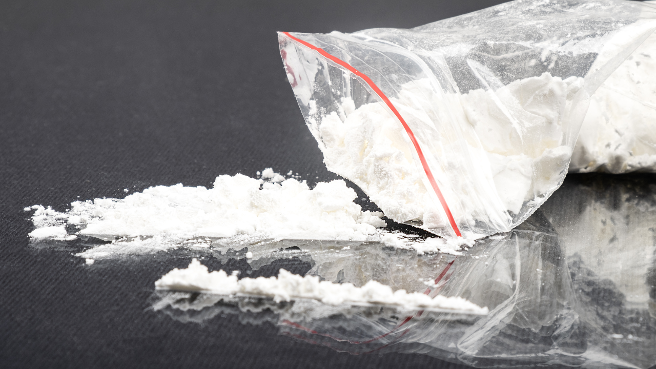 PM encontra 70kg de cocaína em casa na zona sul de SP - O Hoje