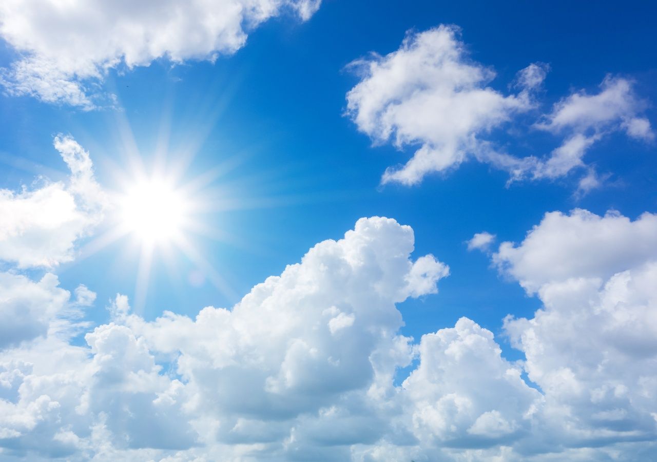 Ação Global reúne mais de 20 países em defesa da situação climática do ...